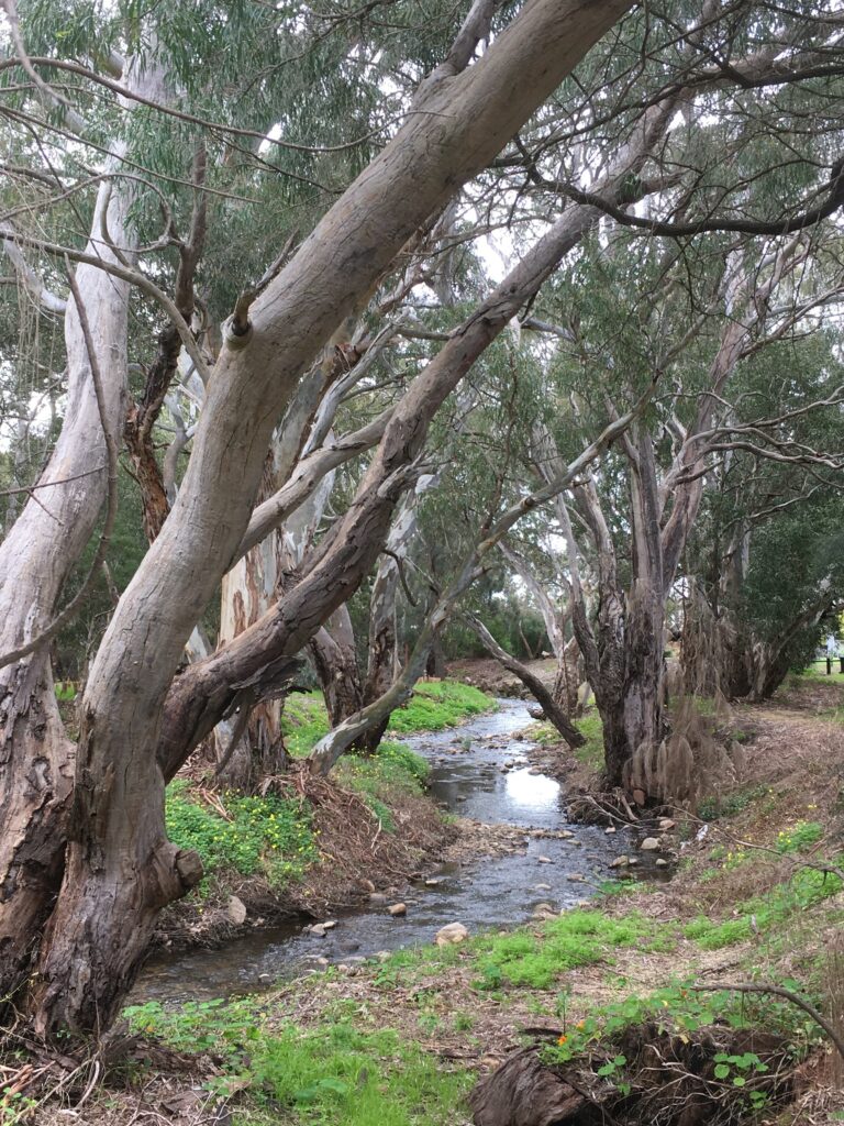 Kaurna Visual Resources | Morialta Uniting Church