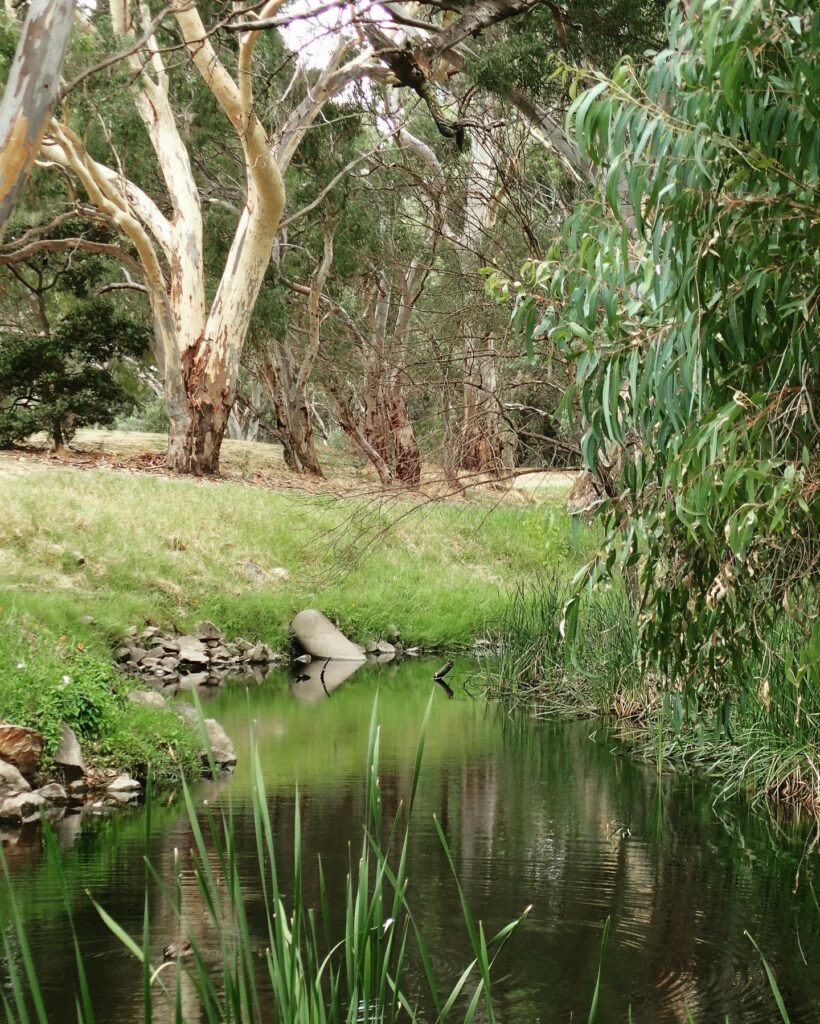 Kaurna Visual Resources | Morialta Uniting Church